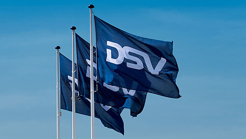 DSV to slash European road freight network after Schenker deal - DVZ ...